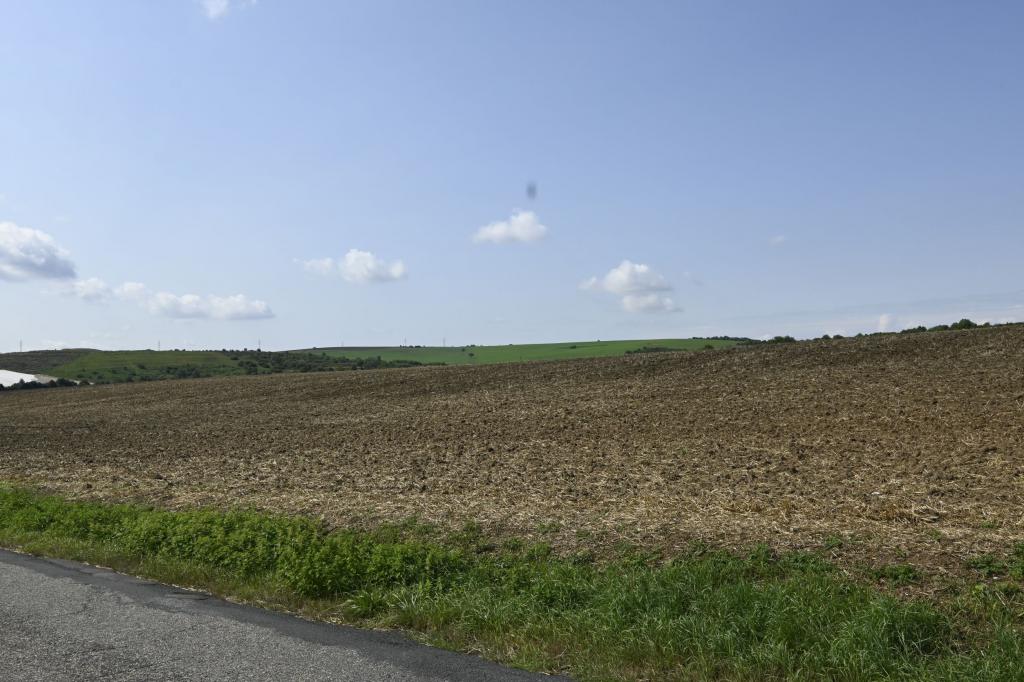 Exekutorský úřad Brno-město, JUDr. Alena Blažková, Ph.D., soudní exekutor