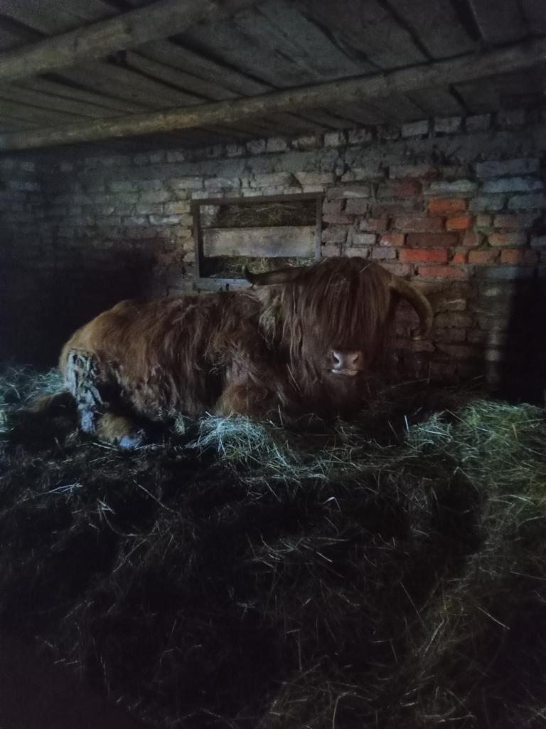 Exekutorský úřad Brno-město, JUDr. Alena Blažková, Ph.D., soudní exekutor